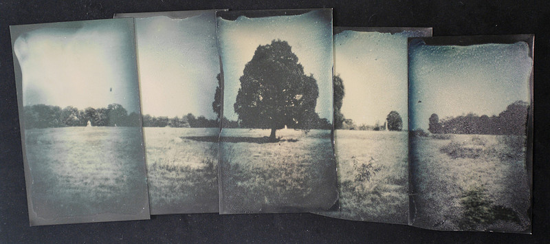 kevin q gray | Dry Plate Tintypes